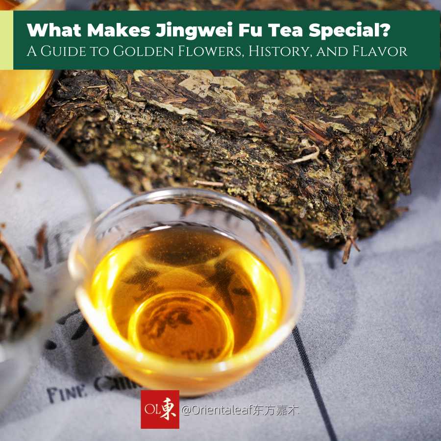 A Guide to Jingwei Fu Tea, History, and Flavor – Orientaleaf
