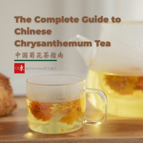 The Complete Guide to Chinese Chrysanthemum Tea – Orientaleaf