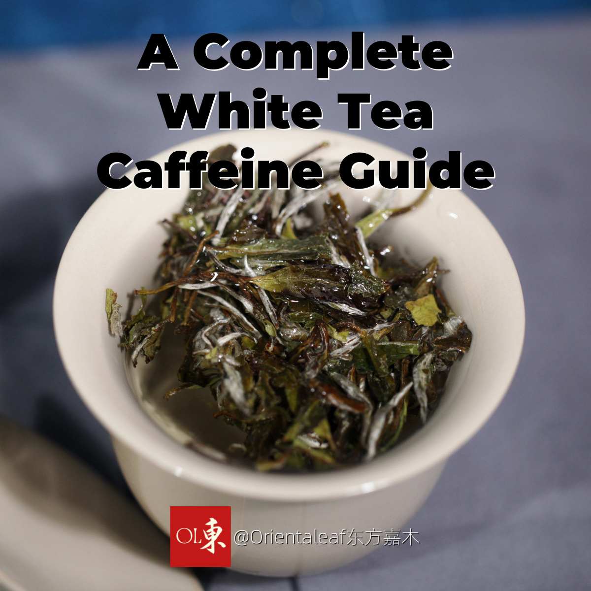 The Truth About White Tea Caffeine: Busting Myths in 2025 Guide ...