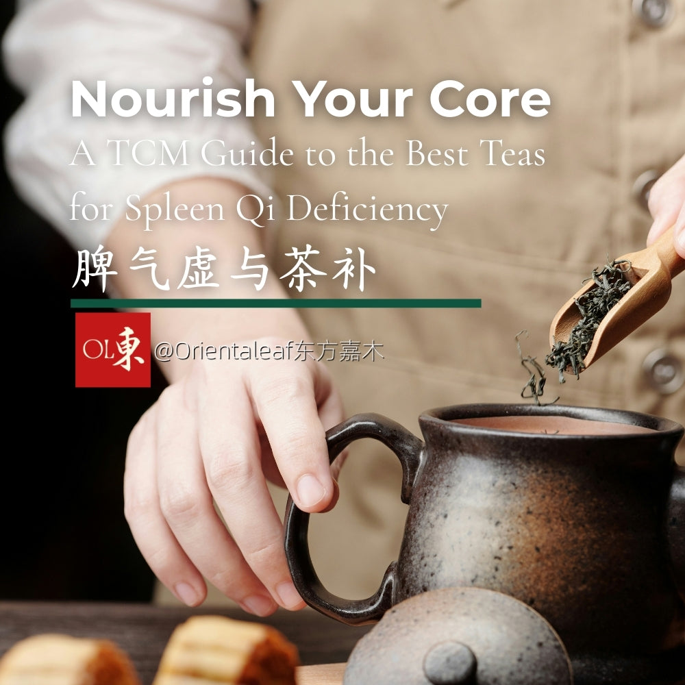 Nourish Your Core: A TCM Guide to the Best Teas for Spleen Qi Deficien ...