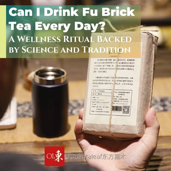 Can I Drink Fu Brick Tea Every Day? – Orientaleaf