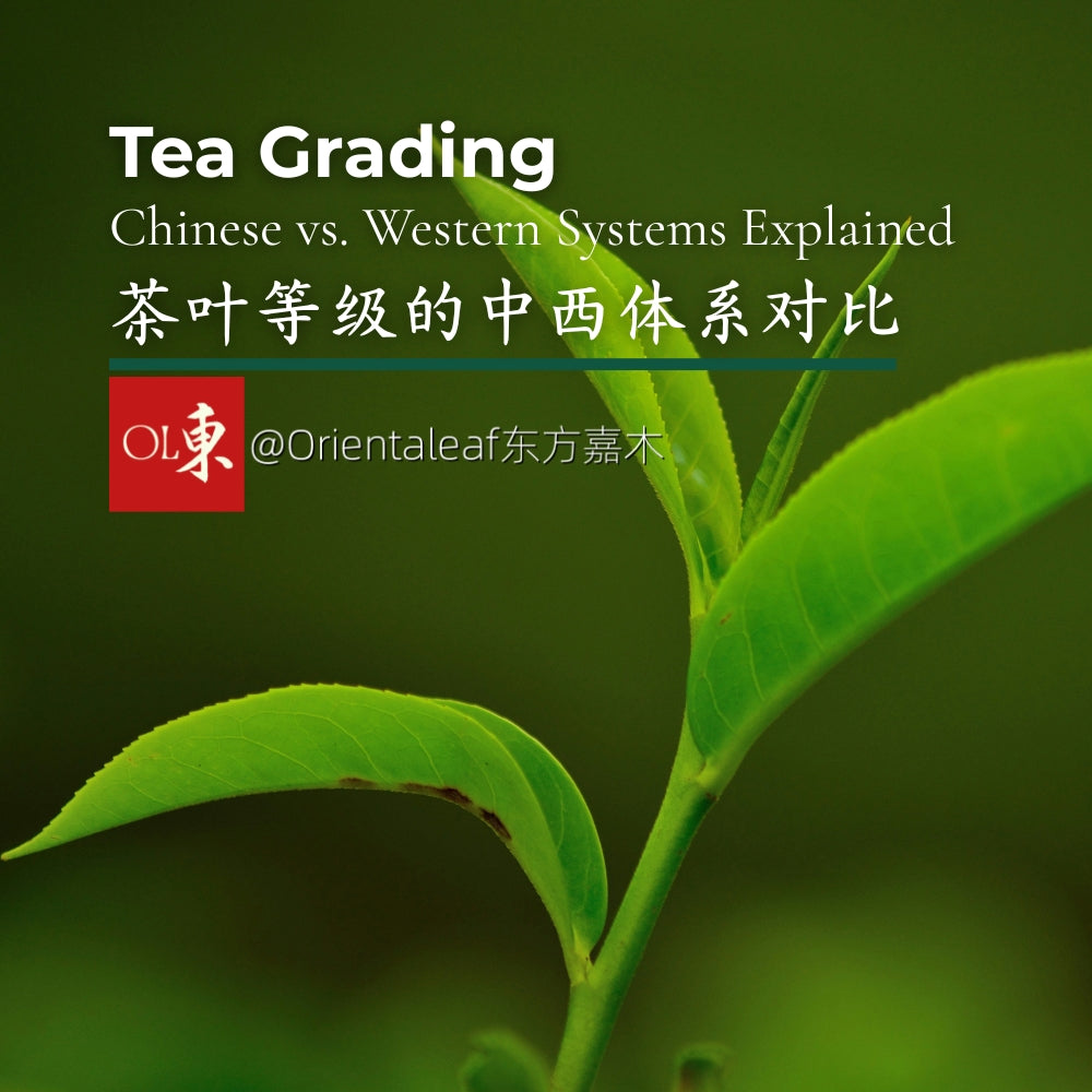 Tea Grading Chart: Chinese vs. Western Systems Explained – Orientaleaf