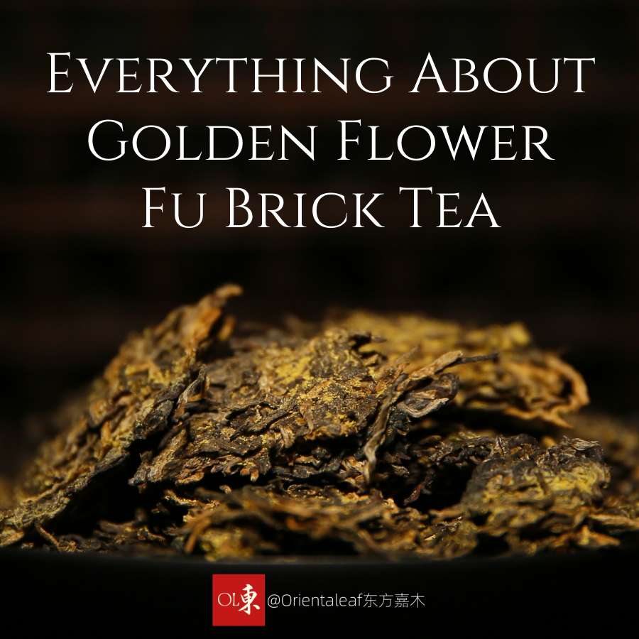 Everything About Fu Brick Tea: Health Benefits, Brewing & Beyond ...