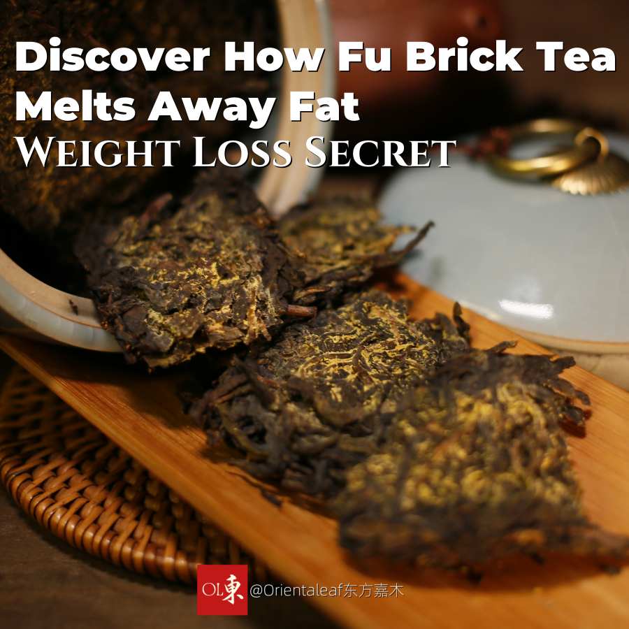 Discover How Fu Brick Tea Melts Away Fat: 2025's Weight Loss Secret ...