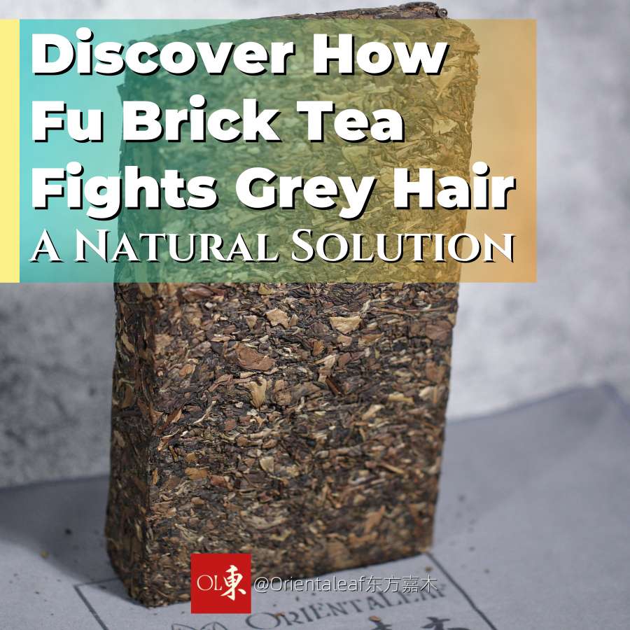 Can Fu Brick Tea Help Prevent Grey Hair? What Science Says in 2025 ...