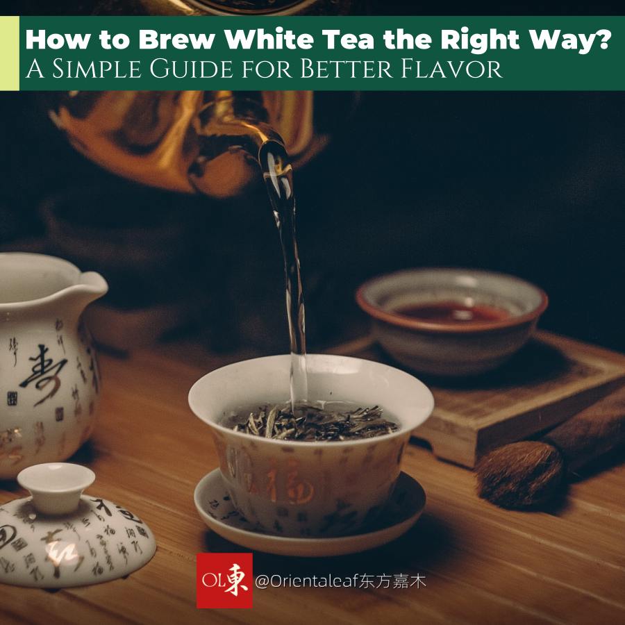 Mastering the Art: How to Brew White Tea Perfectly Every Time – Orientaleaf