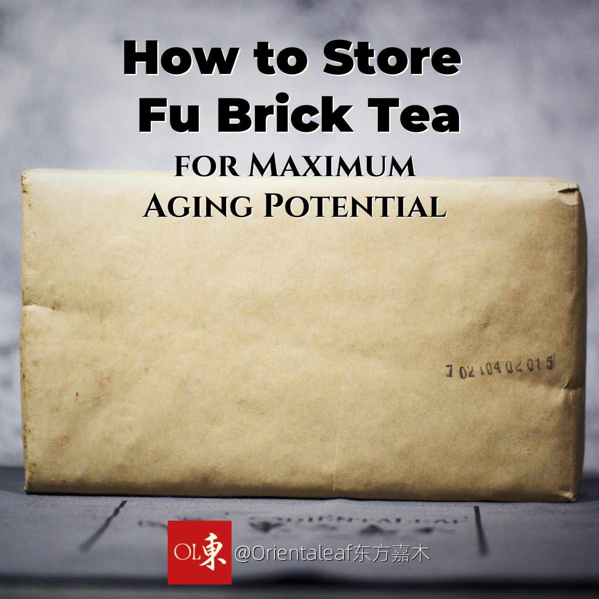 Mastering Fu Brick Tea Storage: 7 Secrets for Aging Perfection in 2025 ...