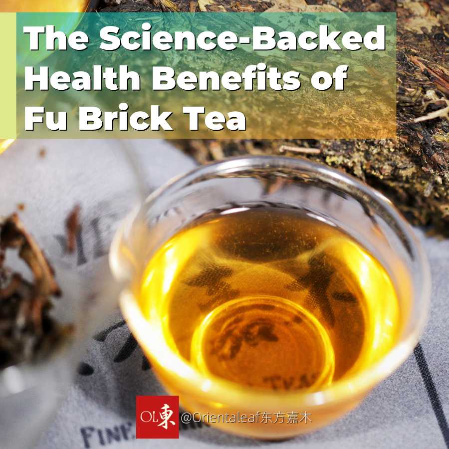 Fu Brick Tea Benefits: Science-Backed Health Insights for 2025 ...
