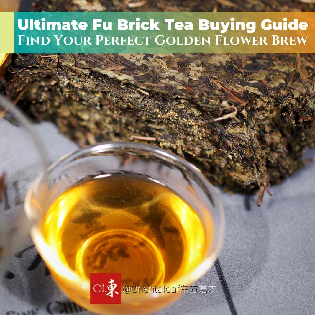 푸브릭 티(Fu Brick Tea) 선택 방법: 2025년 구매 가이드 – Orientaleaf