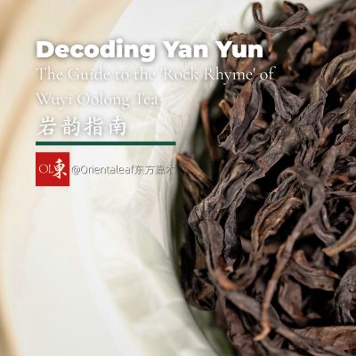Decoding Yan Yun: The True Essence of Wuyi Rock Oolong Tea (2025 Guide ...