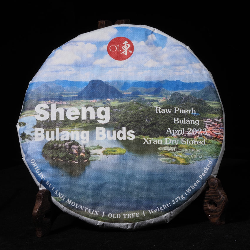 Pu-erh Tea Regions: Complete Guide to Yunnan's Best Tea Mountains ...